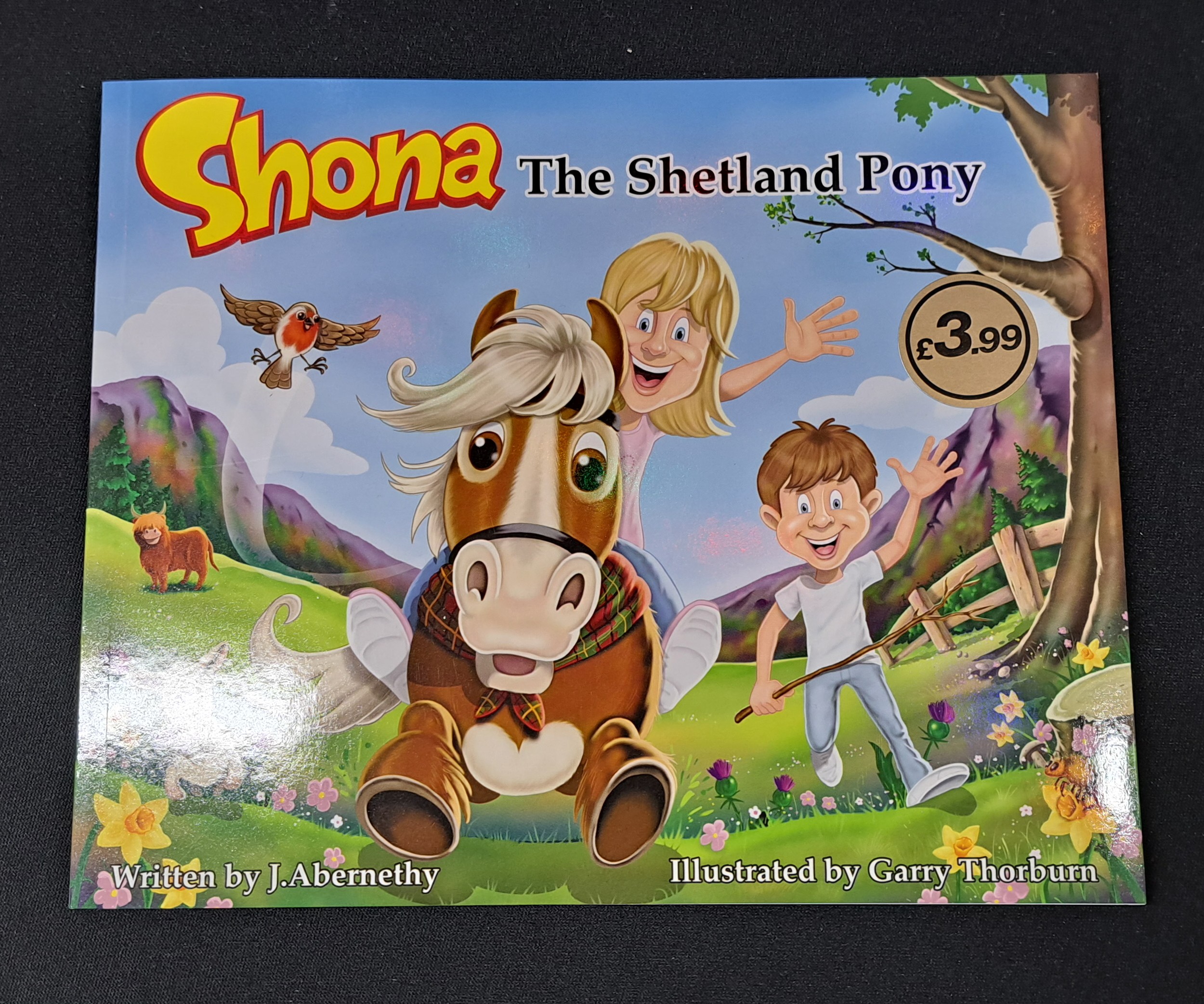 Shona The Shetland Pony - The Scottish Tartans Gift Shop